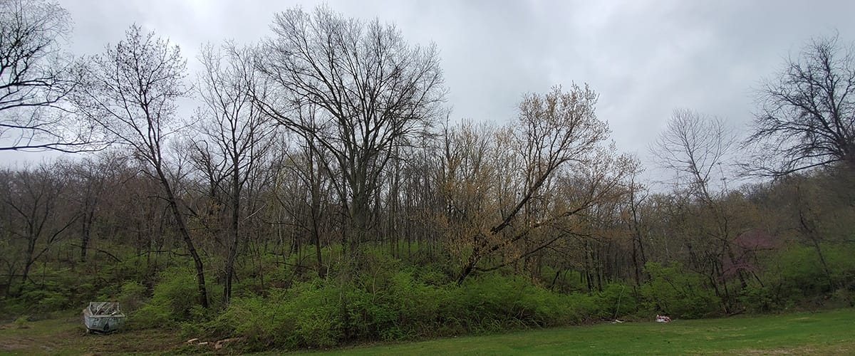 The enduring legend of Mo Mo - Missouri Life