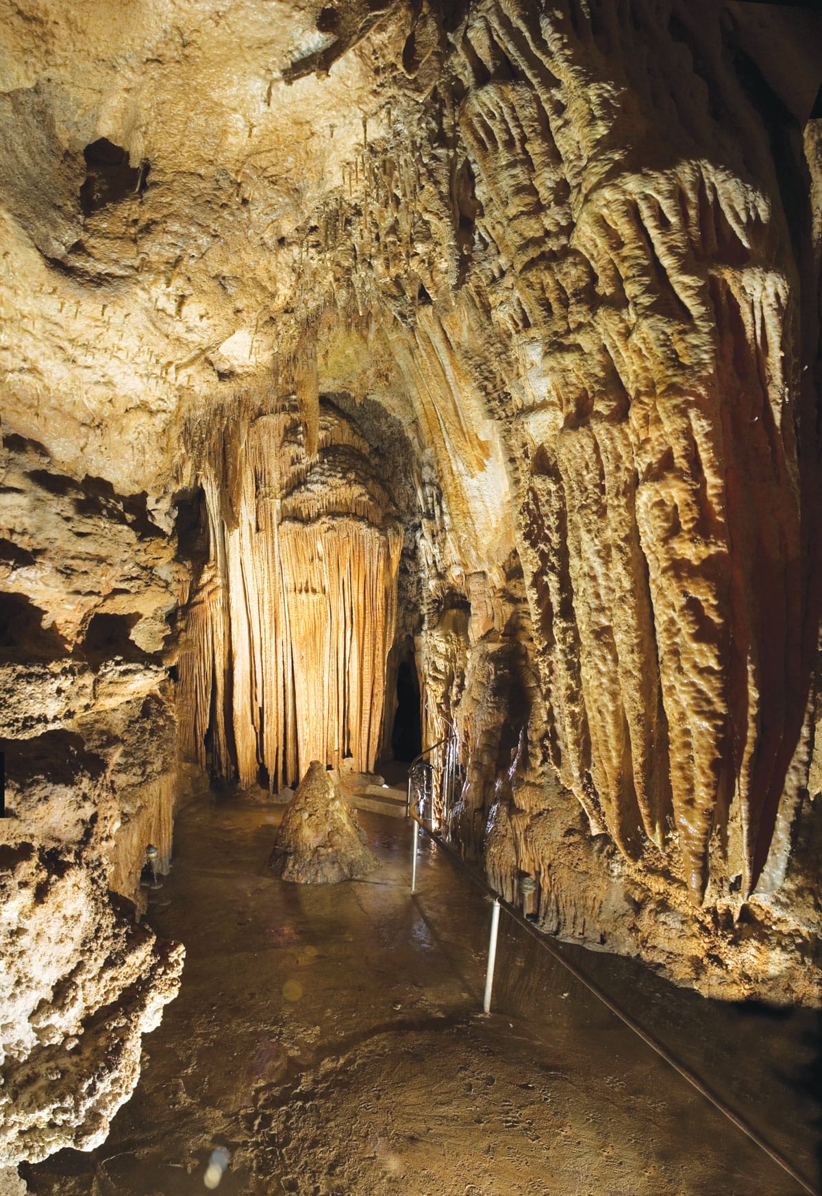 The Thriving Amish Community of Clark - Missouri Life