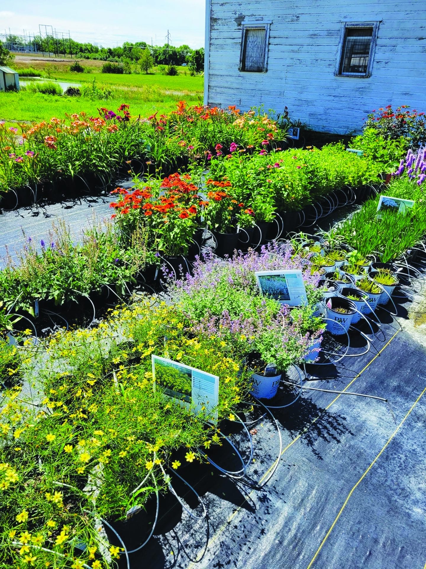 Native Nuts & Flowers - Missouri Life